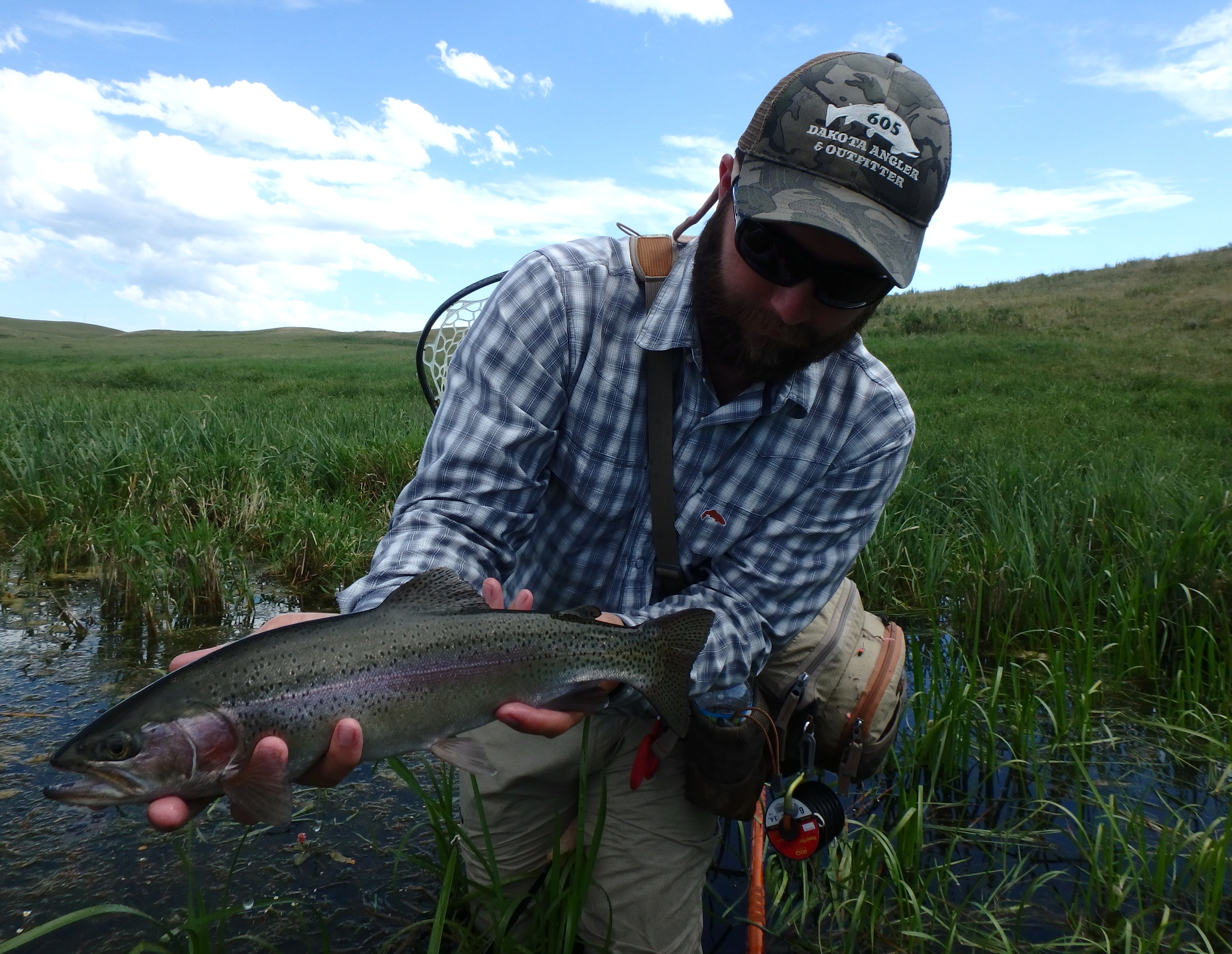 Sage X Rod Review - Casting Comparison 9' 5 Weight Rods – Gazillionaire ...